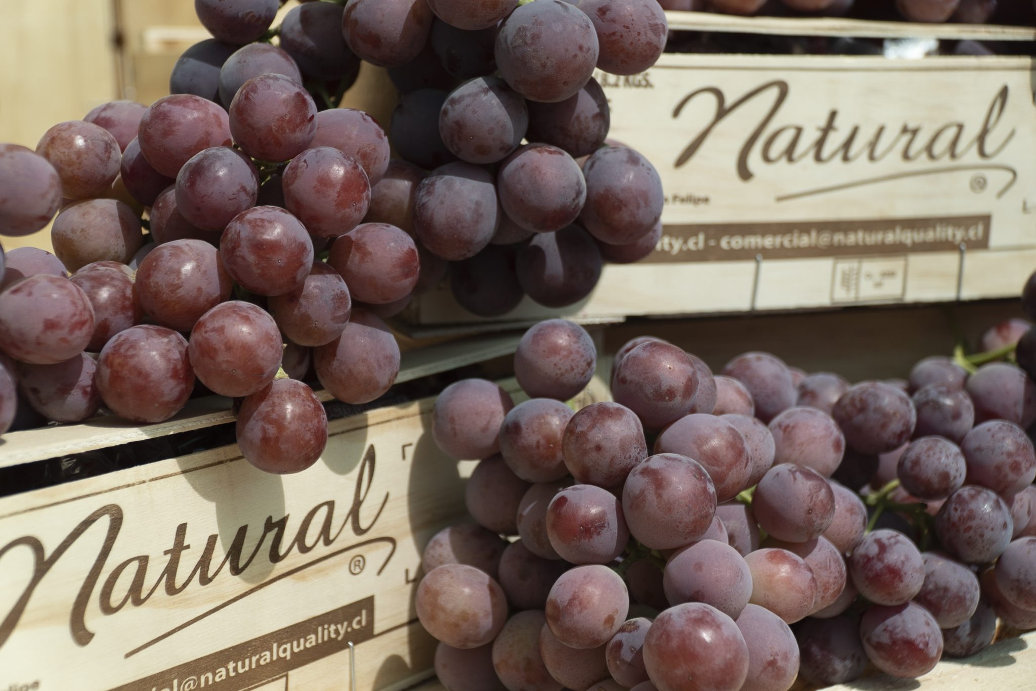 Uvas – Natural Quality